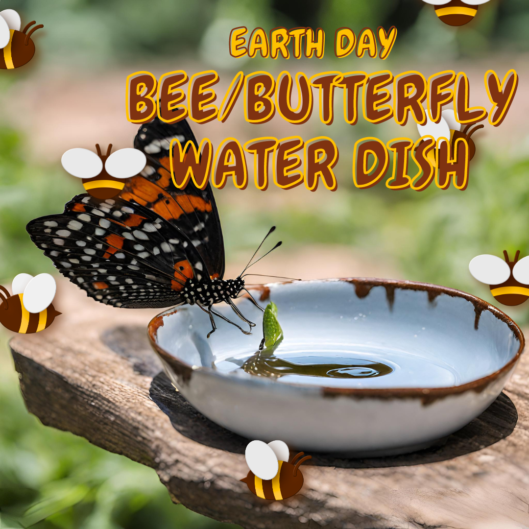 Earth Day: Bee/Butterfly Water Dish (Grades 1-5) at Old Westbury Gardens | Jericho Public Library